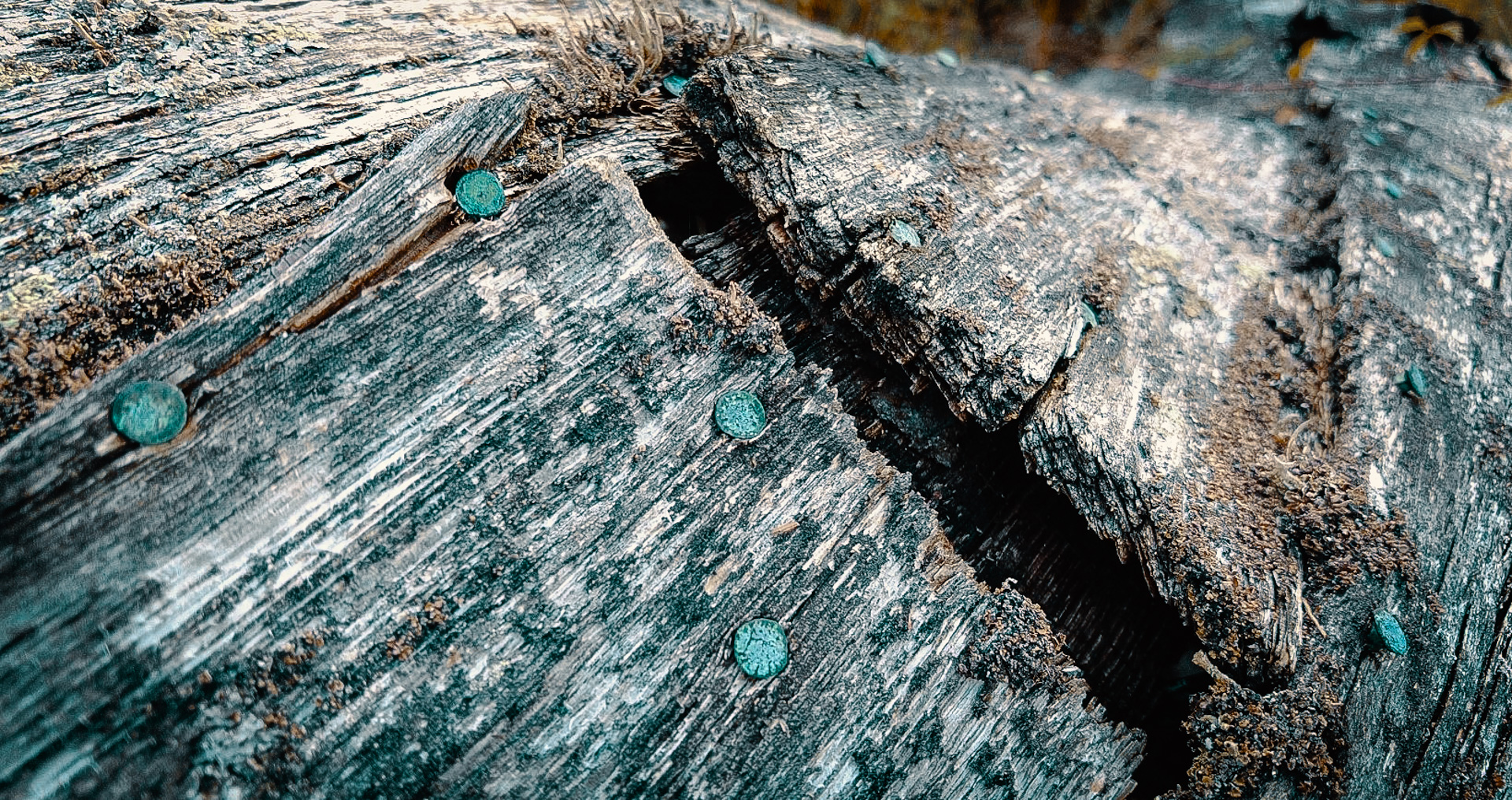 Estonian Second World War refugees’ database | Eesti Mälu Instituut ...